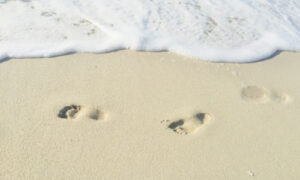 The 4 Steps To Spiritual Growth That You Need To Know